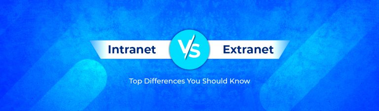 Intranet vs Extranet: Top Differences You Should Know